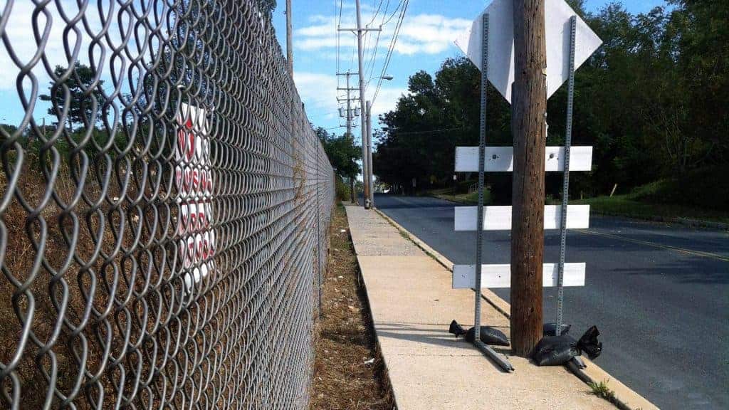 Fence Line Weed & Vegetation Management | Green Giant Services