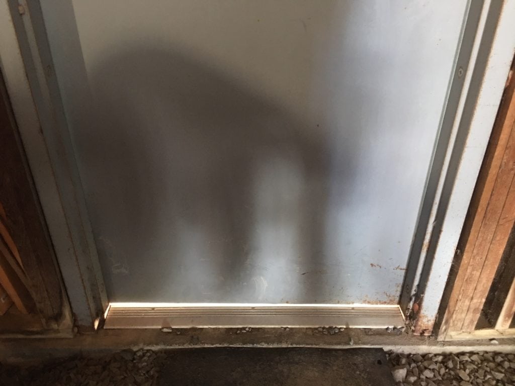 How Do You Keep Mice Out of Your Home - Green Giant Home & Commercial