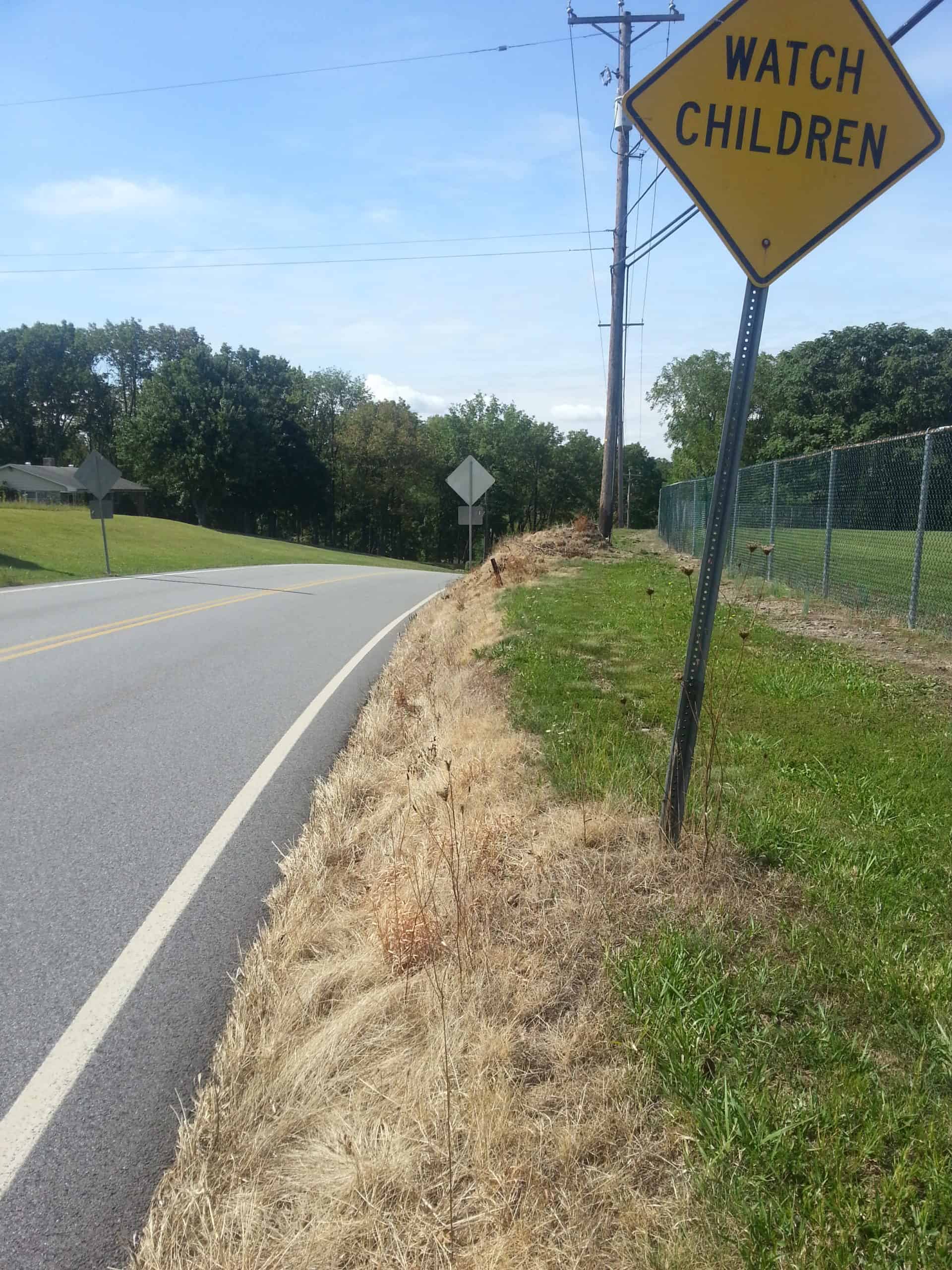 Roadside & Highway Vegetation Management | Green Giant Services