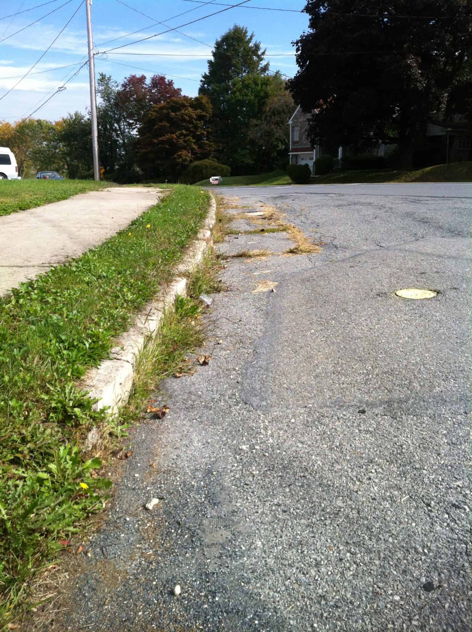 Roadside & Highway Vegetation Management in Reading, Allentown ...