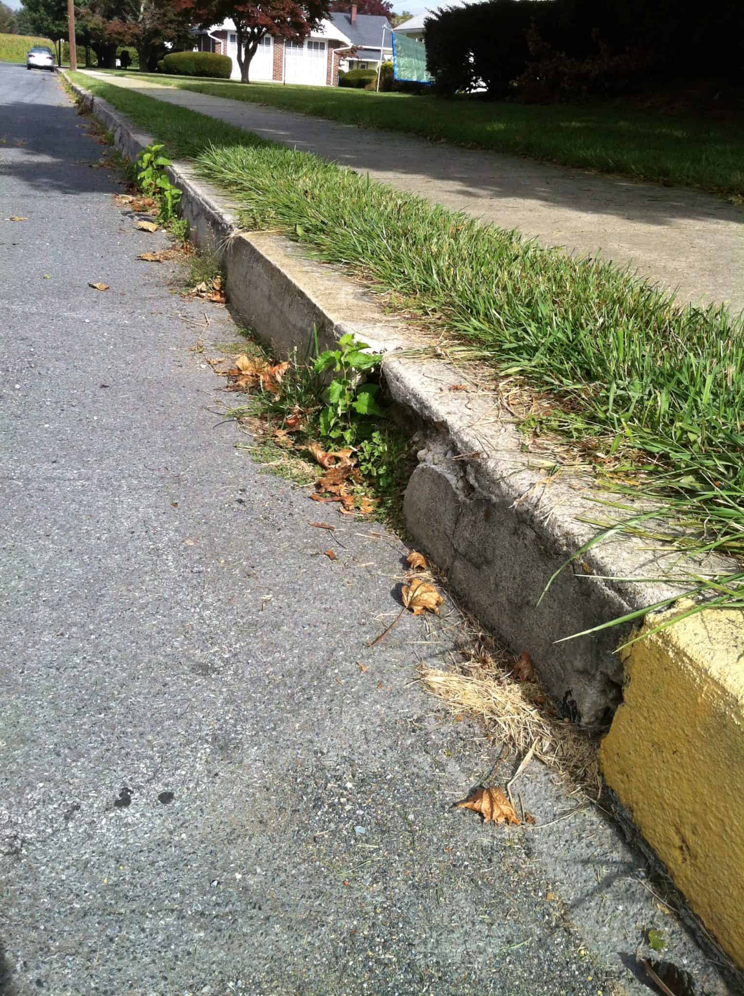 Roadside & Highway Vegetation Management in Reading, Allentown ...